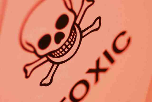 Bowalley Road: By Other Means: Eco-Terrorist Holds New Zealand Over A ...