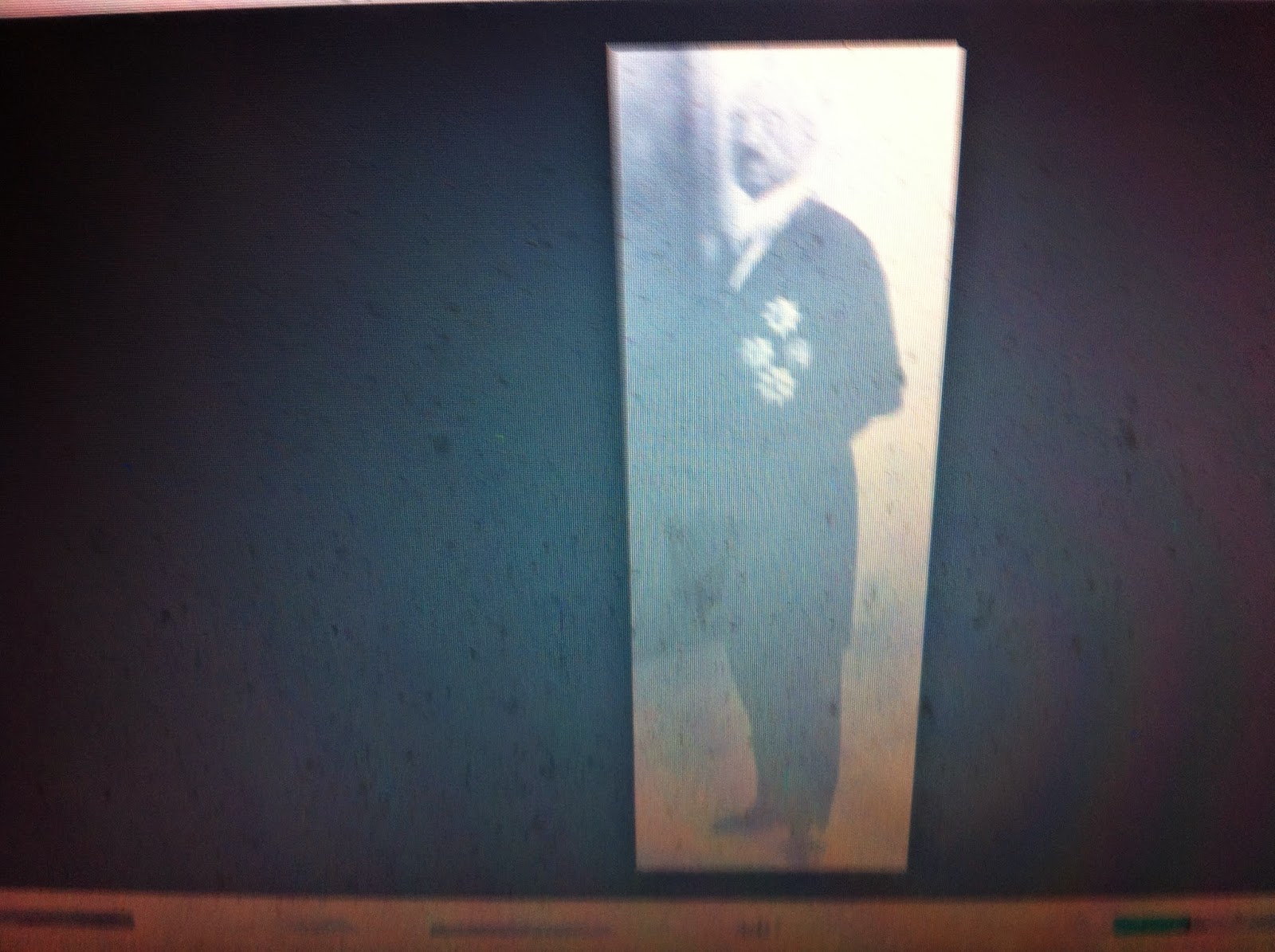 THE BLACK SOCIAL HISTORY:: BLACK SOCIAL HISTORY : AFRO-HAITAIN " LOUIS ...