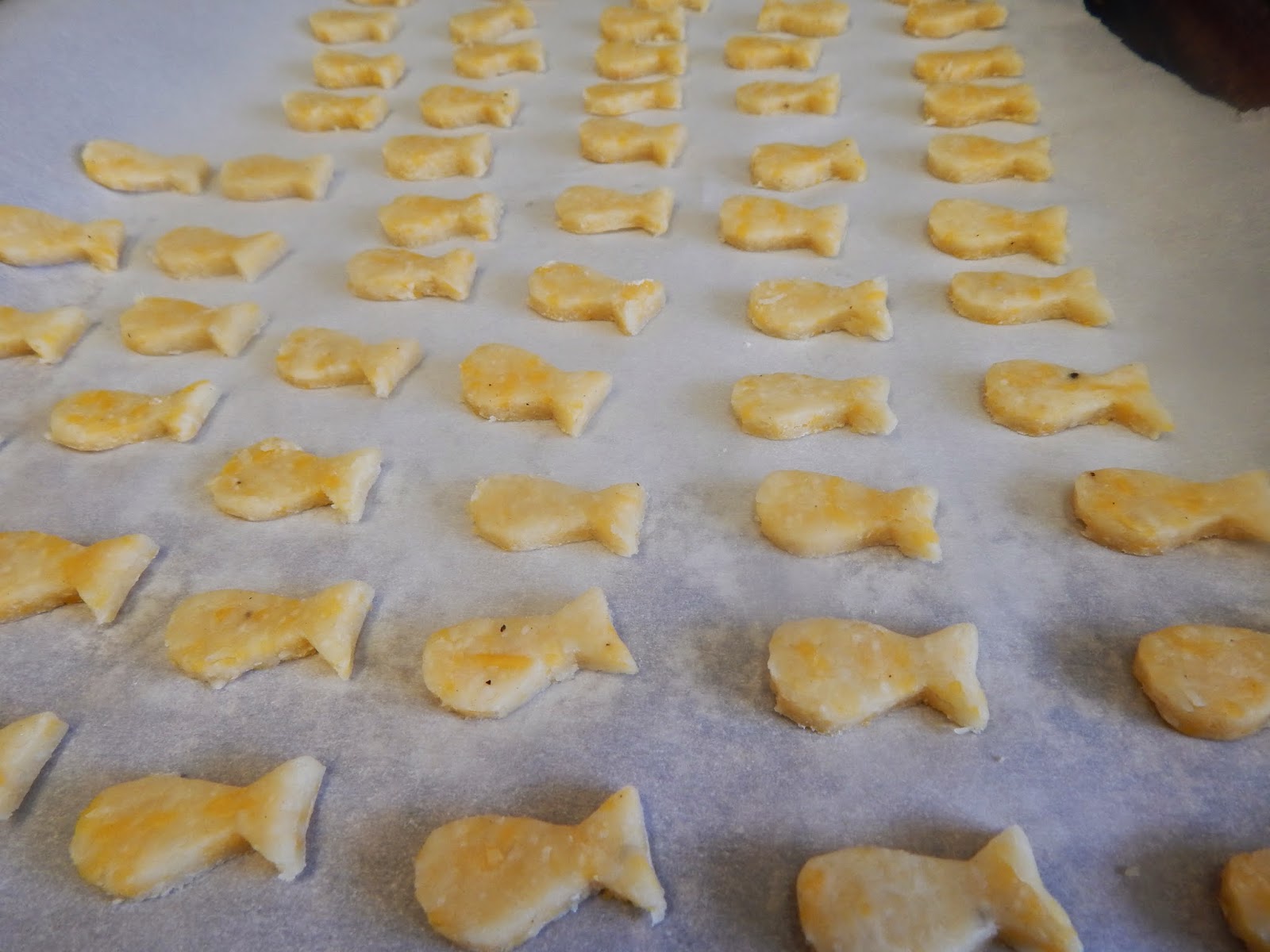 MorningNooNight: Cheddar Fish Crackers