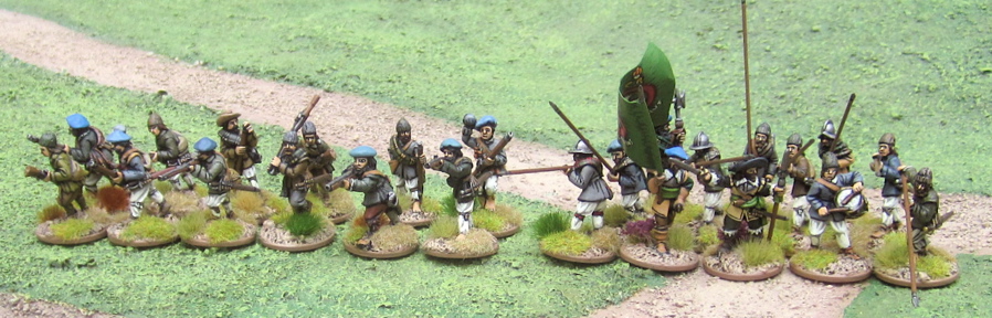 Tim's Miniature Wargaming Blog: More of Montrose’s Irish