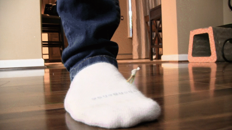 Sneaky Sock Sniffer Mob Cali Logans Little Clips Clips4sale