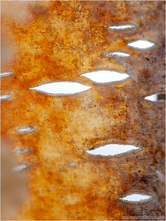 Hoo Kares an Y?: Mark Raymond Mason - Abstract Photography