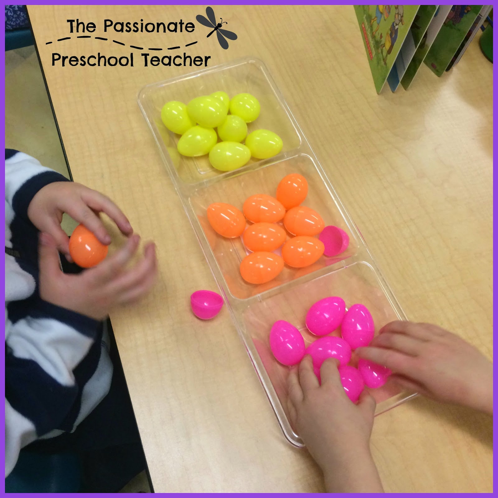 The Passionate Preschool Teacher