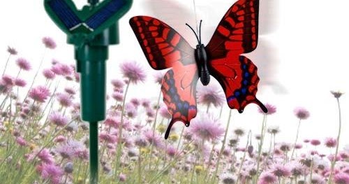 Belajar Asik Dan Kreatif: Arthropoda “Hewan Beruas Ruas”