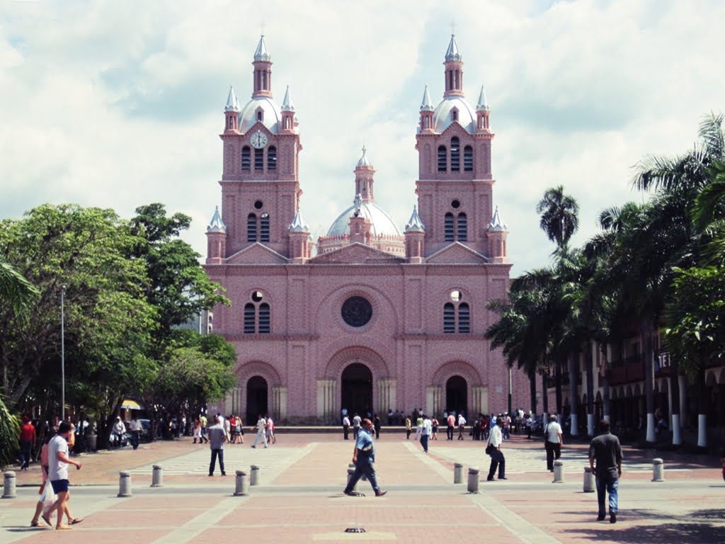 January 2012 | S O U T H