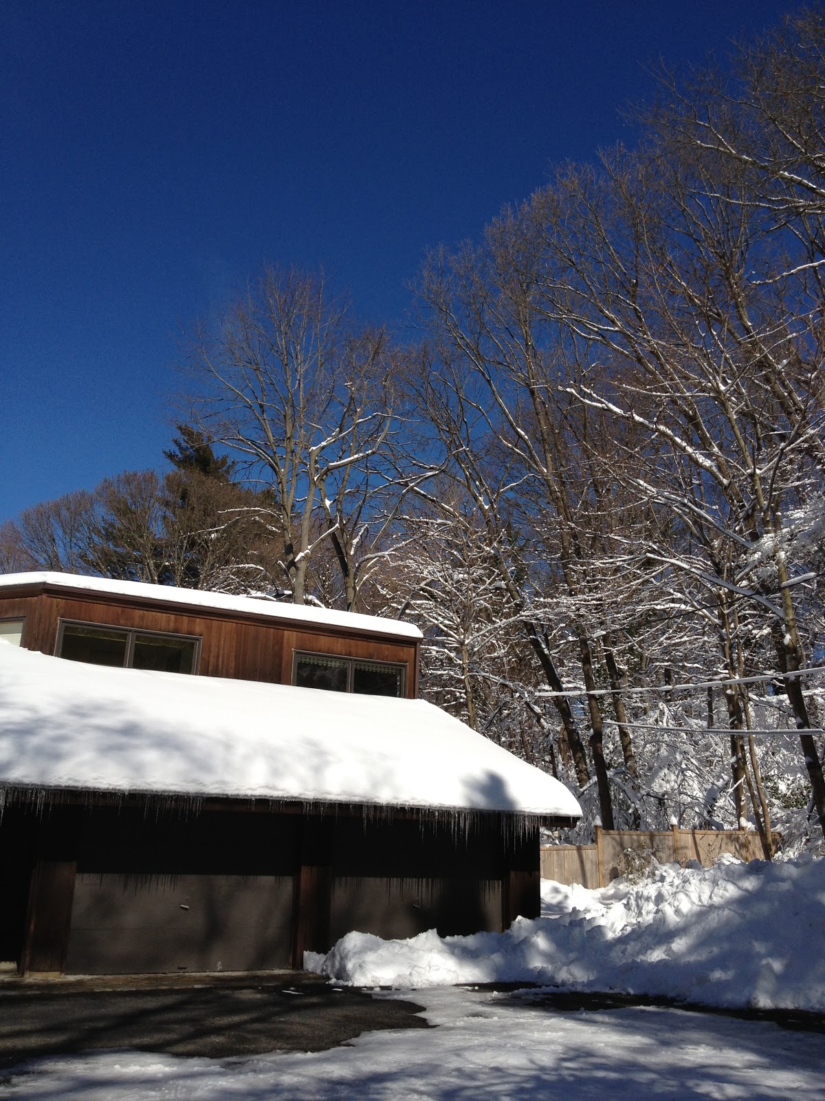 The Cool House: Snowstorm Winter 2012/2013