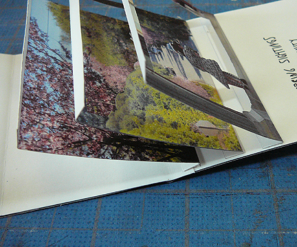 Spring Pop-Up Tunnel Book