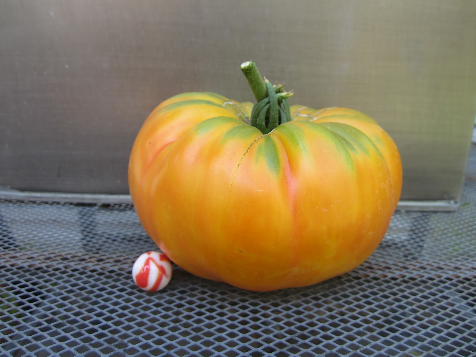 Salt Lake City Garden: Deciding what tomatoes to grow in Salt Lake City