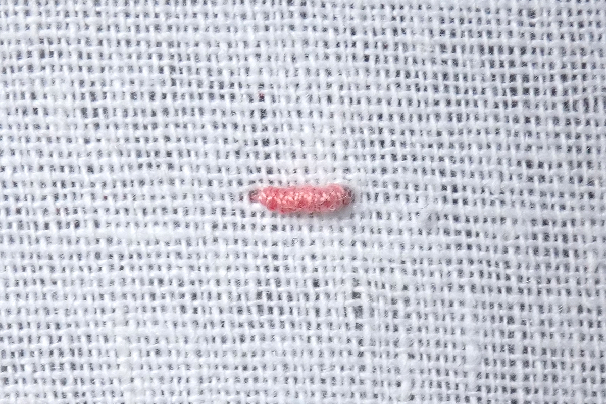 Bullion knot crash course - Stitch Floral