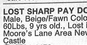 Terrierman's Daily Dose: Dull People, Sharp Dog