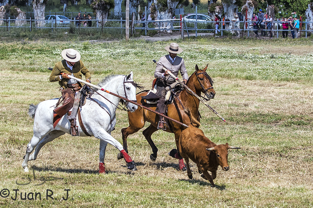 Luis Erquicia gana el Acoso y Derribo jerezano de 2016