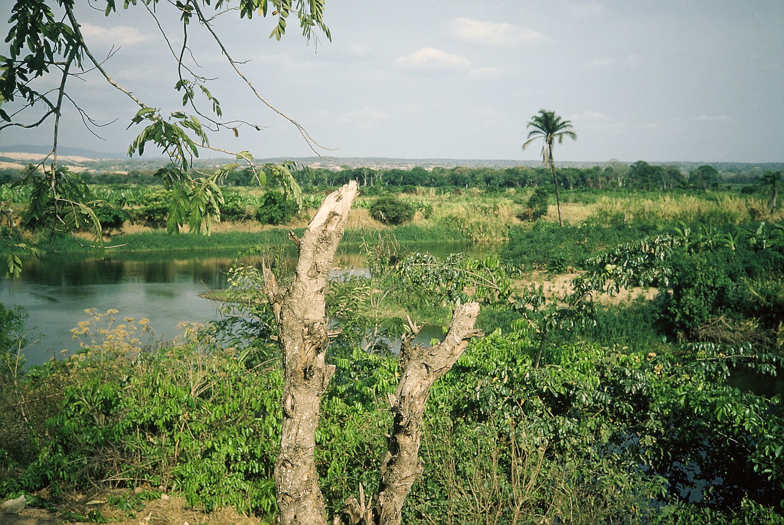 MAVINGA - ANGOLA 2ª. Compª. Bat. Caç. 5012: Calomboloca