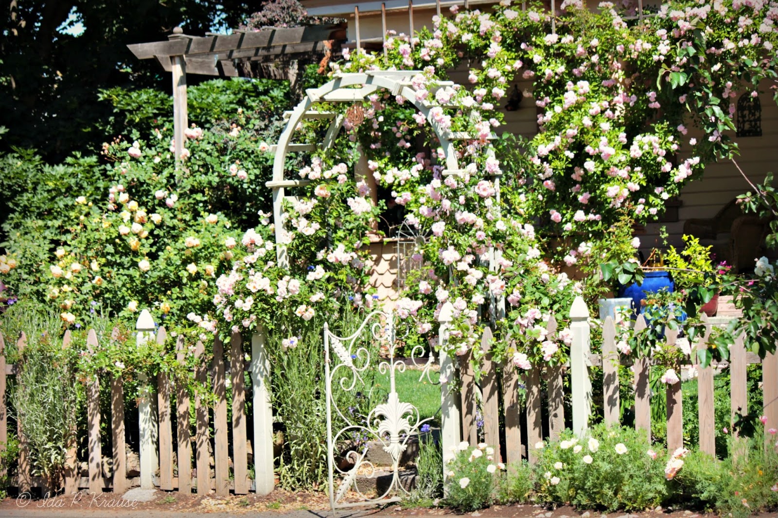 Wishes, Dreams & Other Things: Good Fences #113 - A Romantic Fence