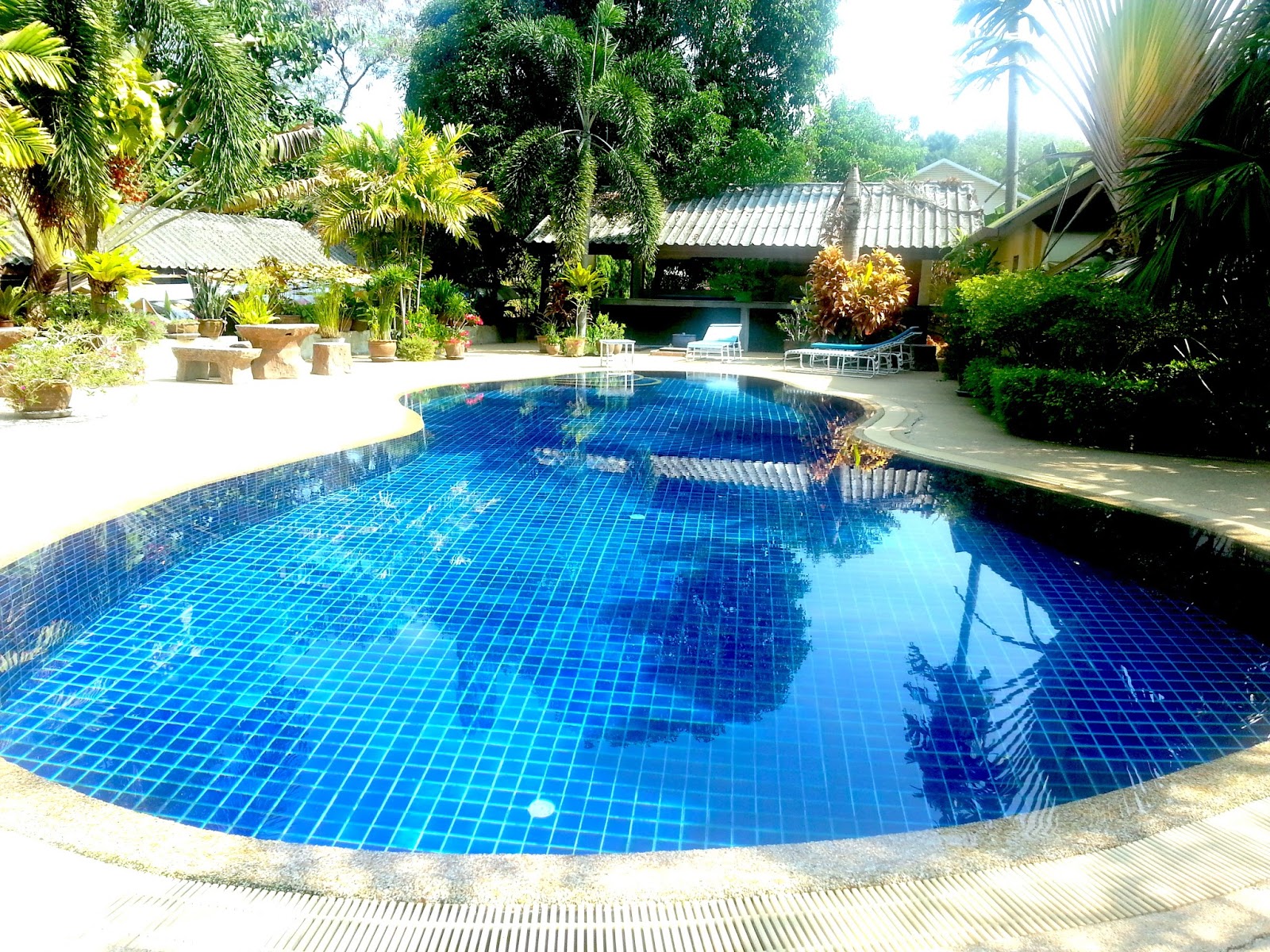 Scuba Diving Phuket - Similan Islands - Phuket Thailand.: LEARNING TO ...