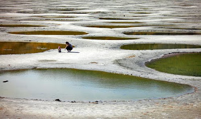 Una Ventana al Mundo: El lago moteado