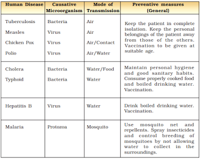 Notes of Ch 2 Microorganisms: Friend and Foe| Class 8th Science