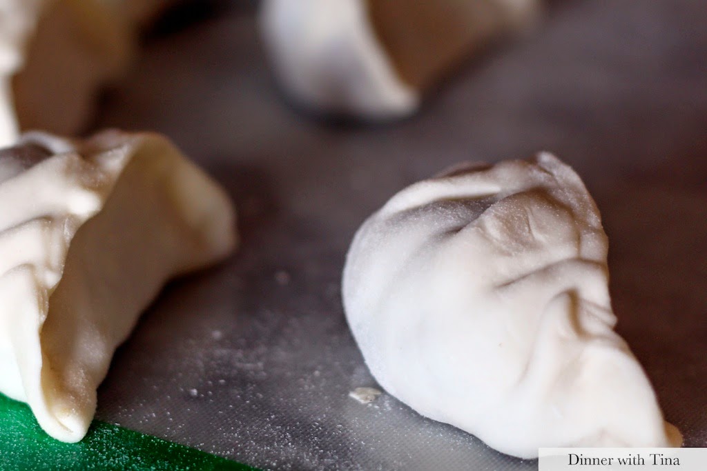Pan fried dumplings ~ Dinner with Tina