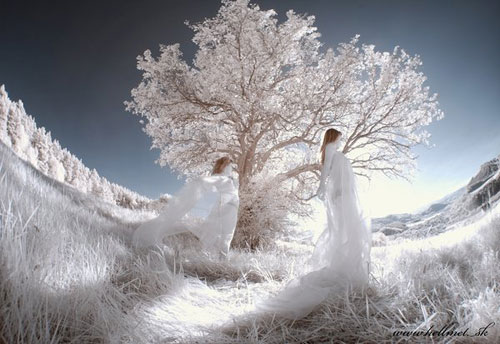 Amazing Examples Of Surreal Photography ~ Hampix