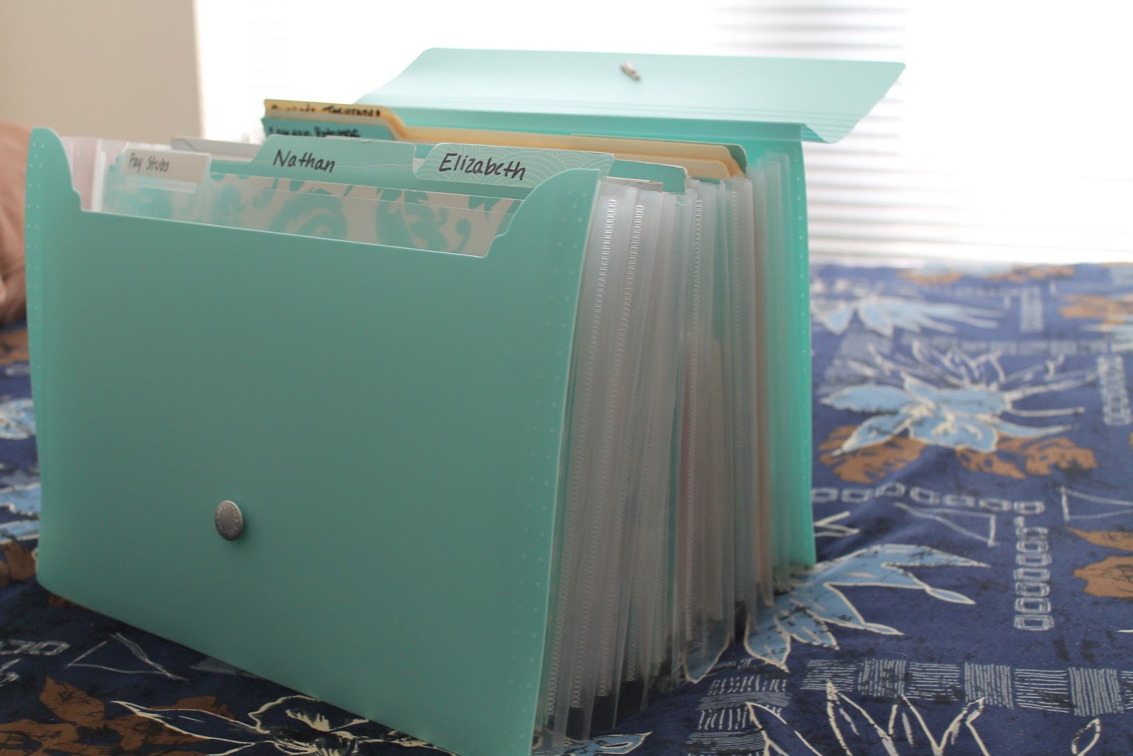 The DC Boese's: My Extremely Thorough Home Filing System, Part 1