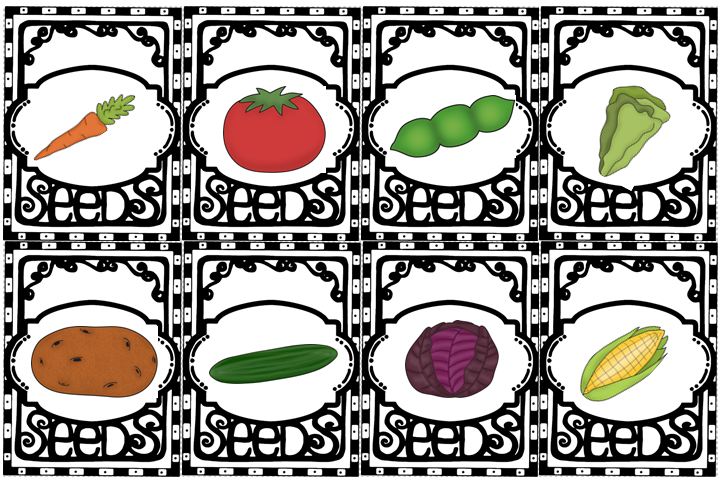 The Talking Owls: Growing Vegetable Soup