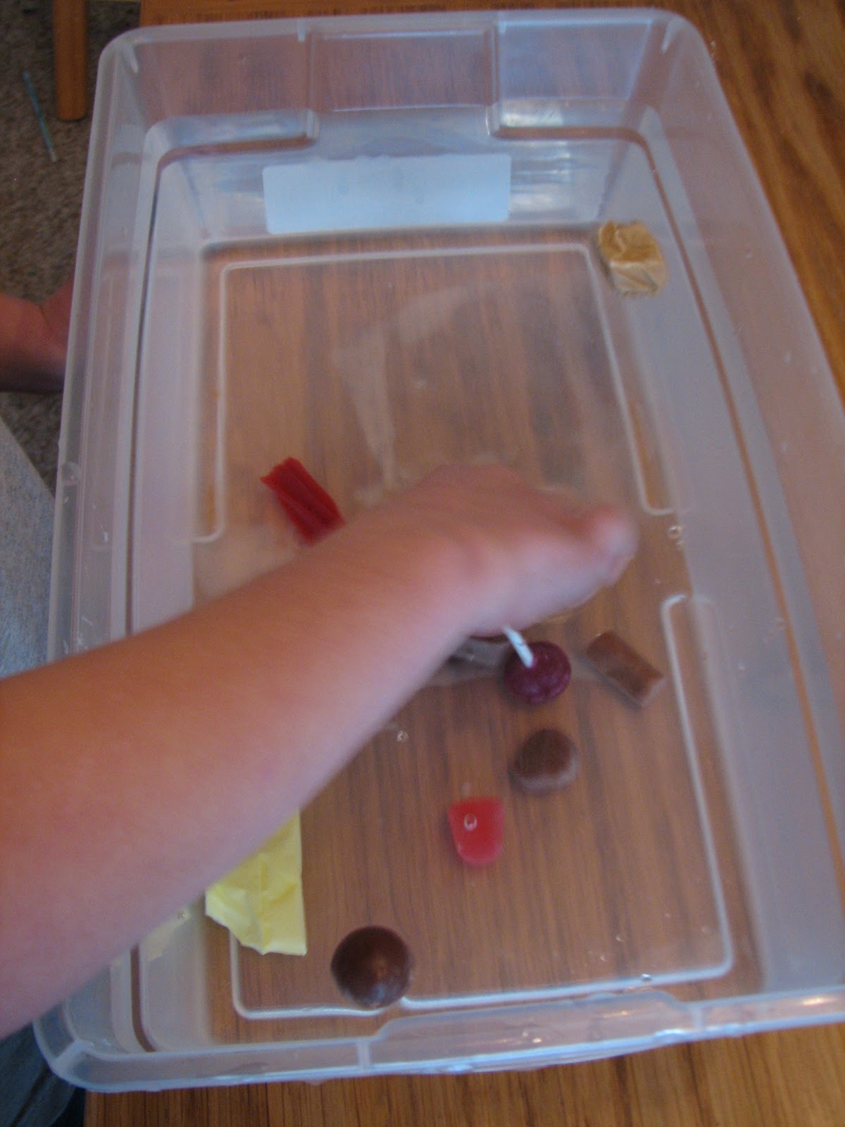 Science Matters: Density: Sink or Float: Candy Edition