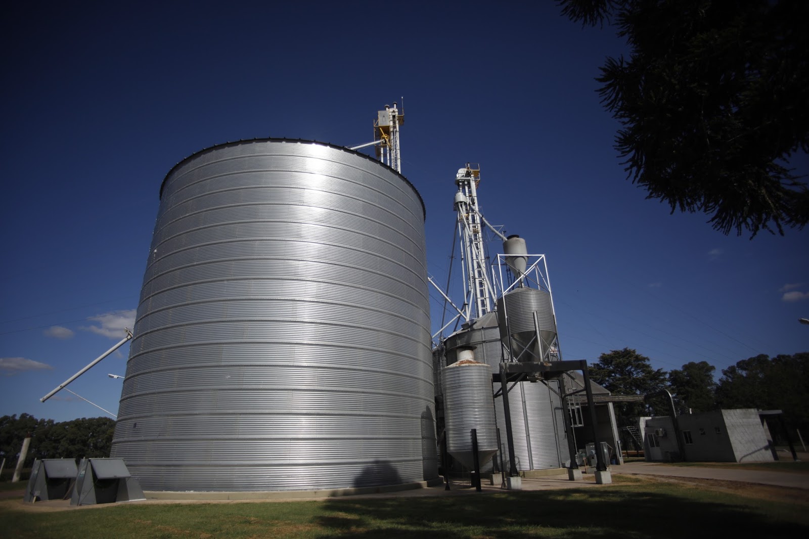 Informe Rural Noticias: noviembre 2016