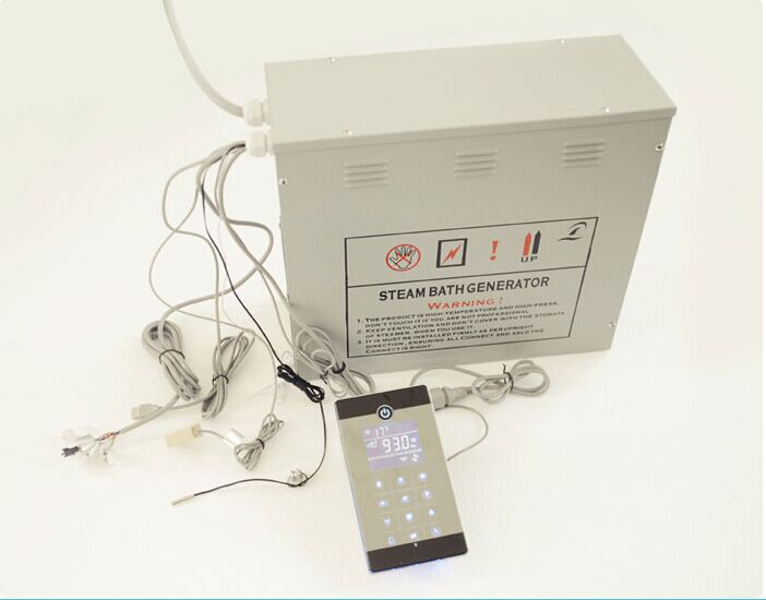 Replacement Steam Generator: Replacement STEAM GENERATOR MK-117