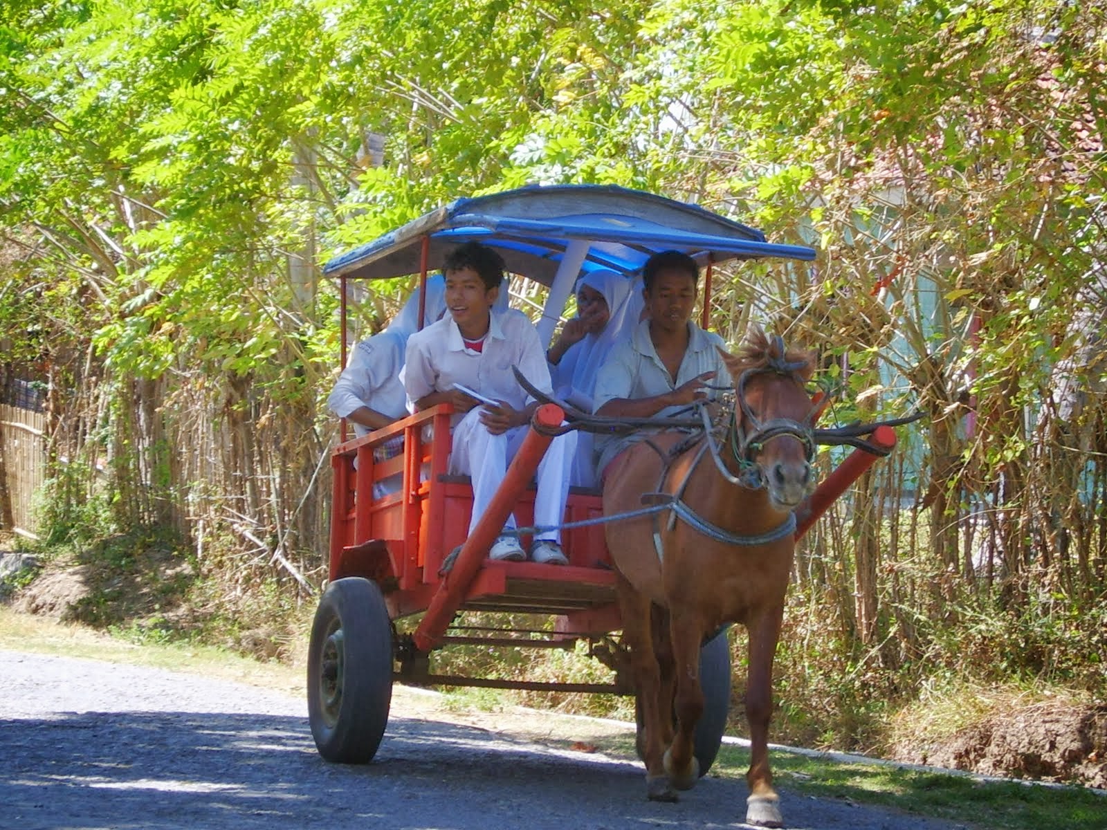 Jurnal Bima Tempo Dulu: Sejarah Berdirinya Kerajaan Bima (Bag 2)