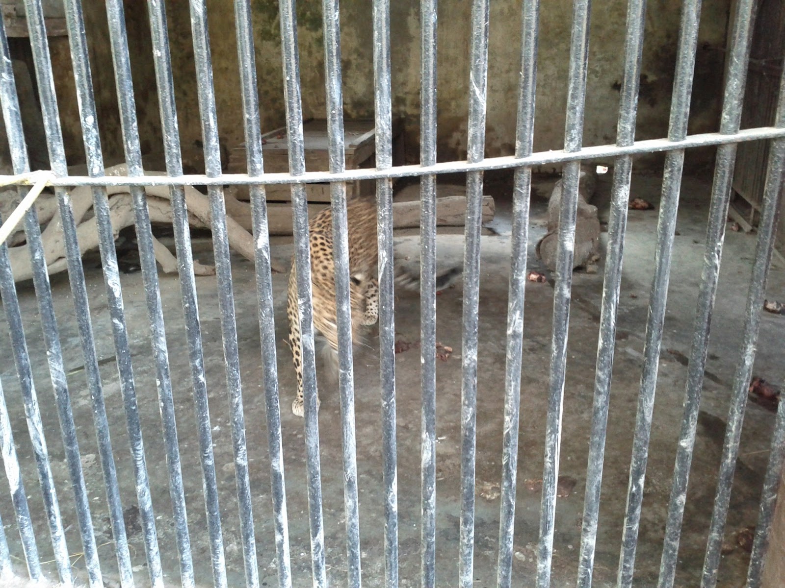 A review of Nepal's only Zoo - Central Zoo of Kathmandu, Nepal | The ...