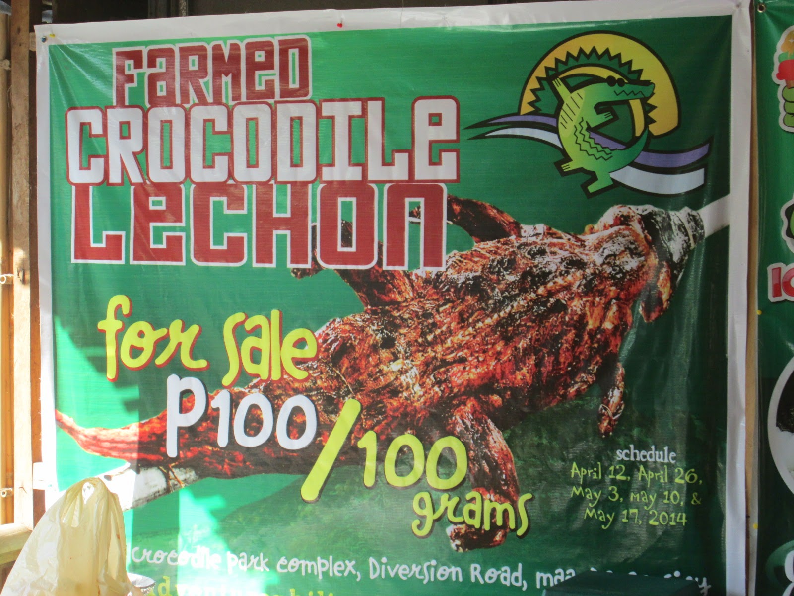 i am Ai: Four Things Why I Won't Forget My Davao Crocodile Park Visit