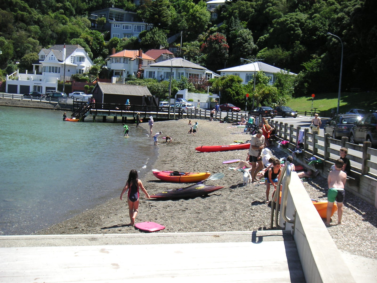 Bliss and the Retiree: Swimming today at Hataitai Beach