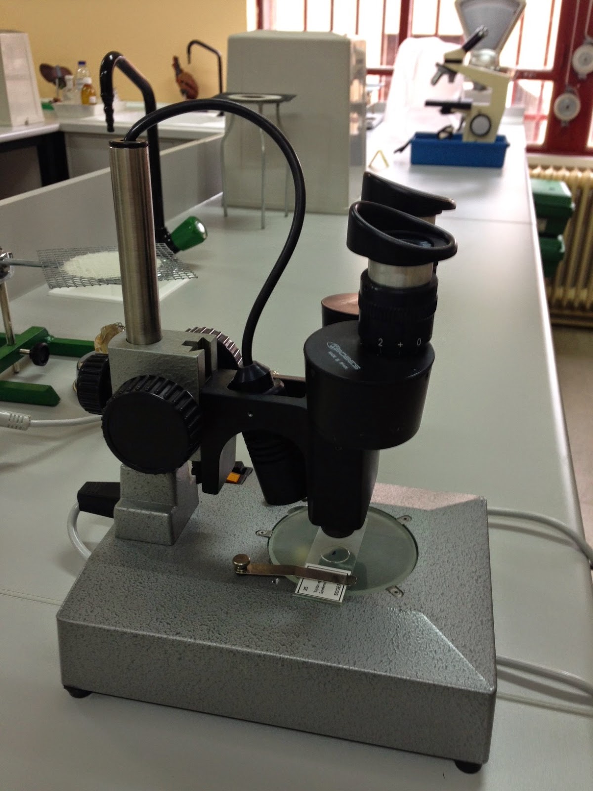 SCIENCE IN THE SCHOOL: 2014