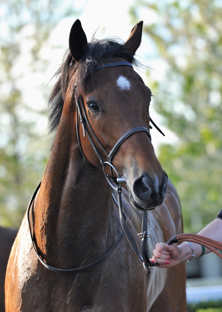 Simon Earle Racing: 2012