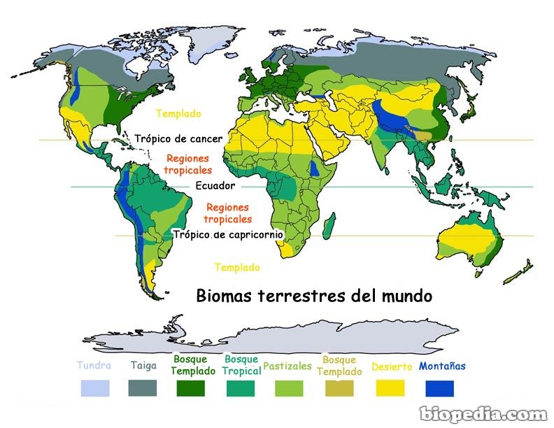 Los biomas :): Diversos biomas que existen en el mundo