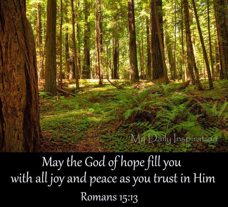 May the God of hope fill you with all joy and peace as you trust in him