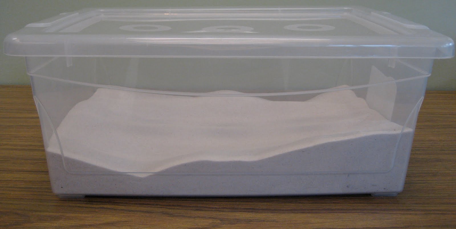 4 Summer Items that Will Make a Splash in Your School Counseling Office