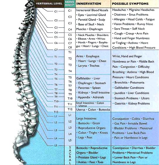 Be kind to your spine
