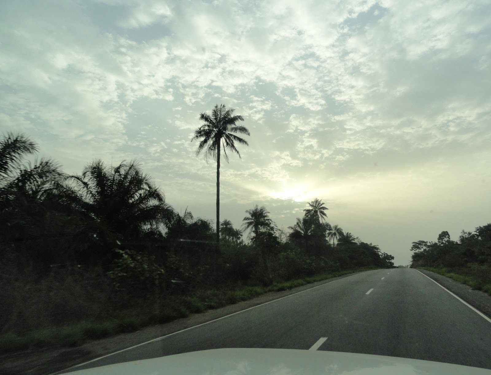 Sierra Leone Freetown Mission Blog: To Bo and our Liberia Visit last week!