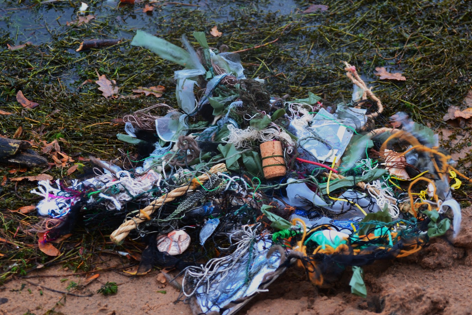 Hannah Cottrell Mixed Media Art and Photography