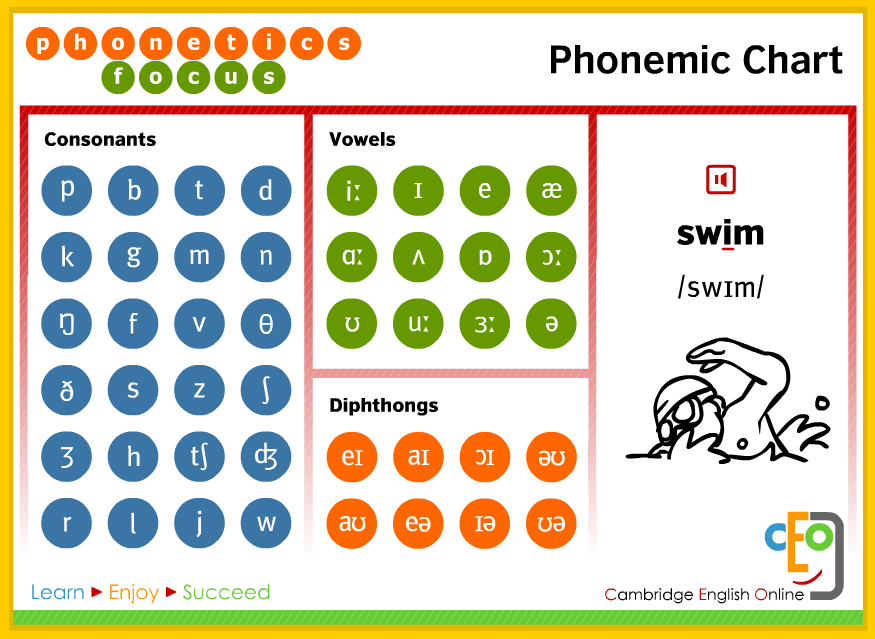 Link tải Phonemic Chart Animated - Ứng dụng giúp luyện phát âm chuẩn ...