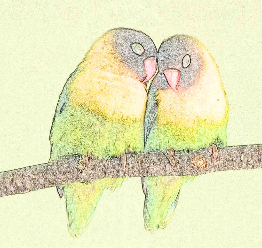 PHOTO EFFECTS Tutorials In Photoshop PHOTO EFFECTS Tutorials In Photoshop