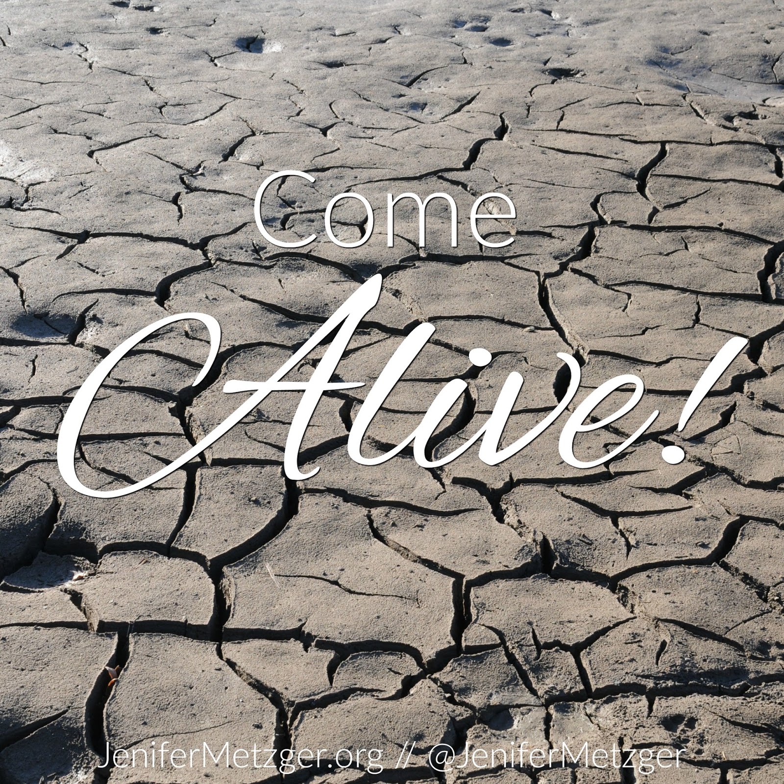 Jenifer Metzger : Come Alive