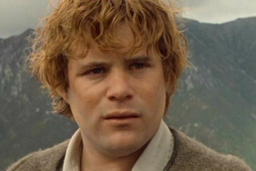 Samwise Gamgee Kimdir? Sam Hakkında