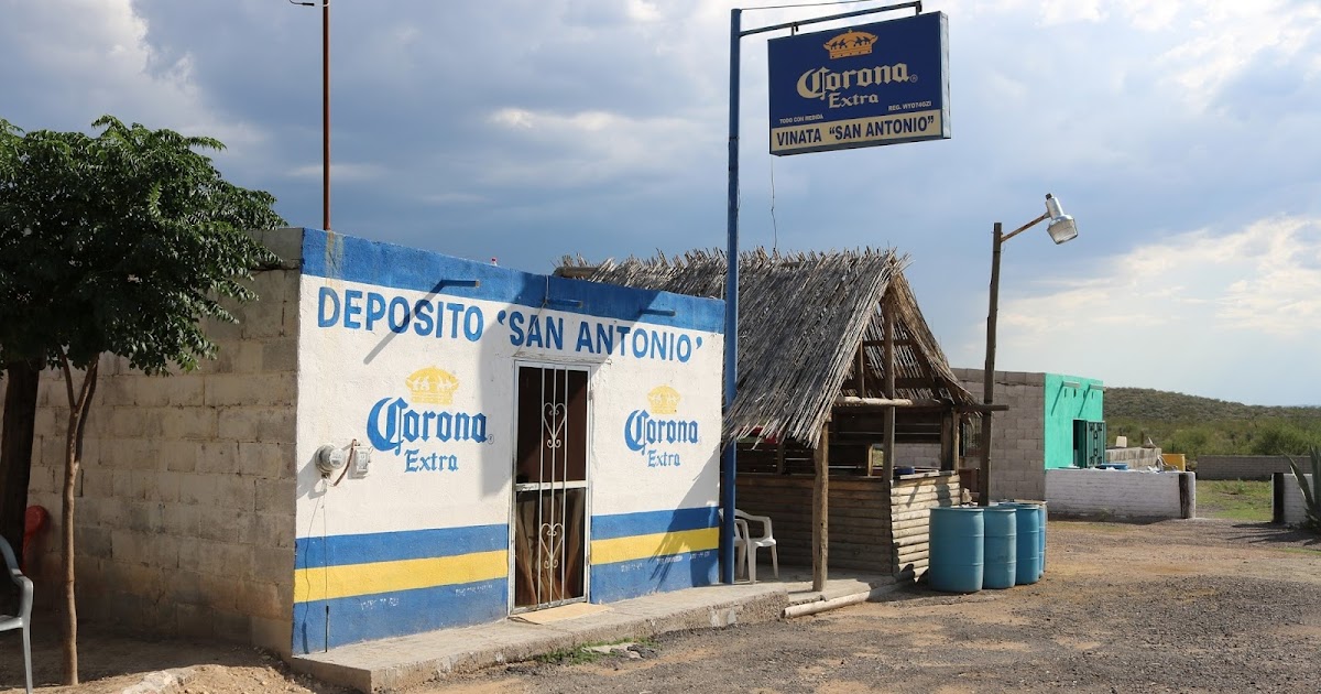 Mercado Sobre Ruedas: El Norte de México huele y sabe a sotol, con ...