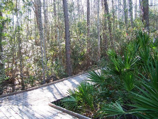 A New Way of Visualizing: #14 Calusa Nature Center and Planetarium