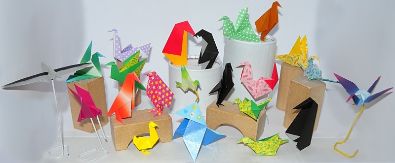 Origami Galway: Selection of birds