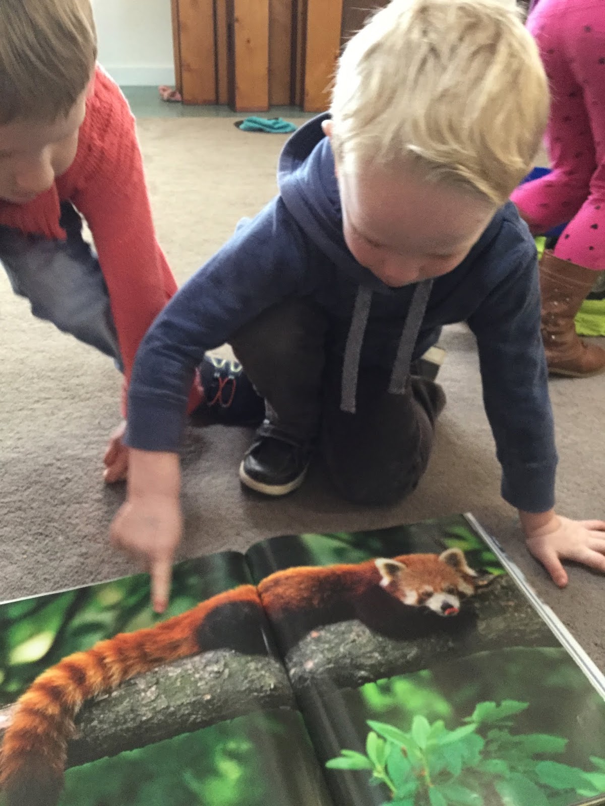 Mairtown Kindergarten: Children's inquiry into endangered animals.