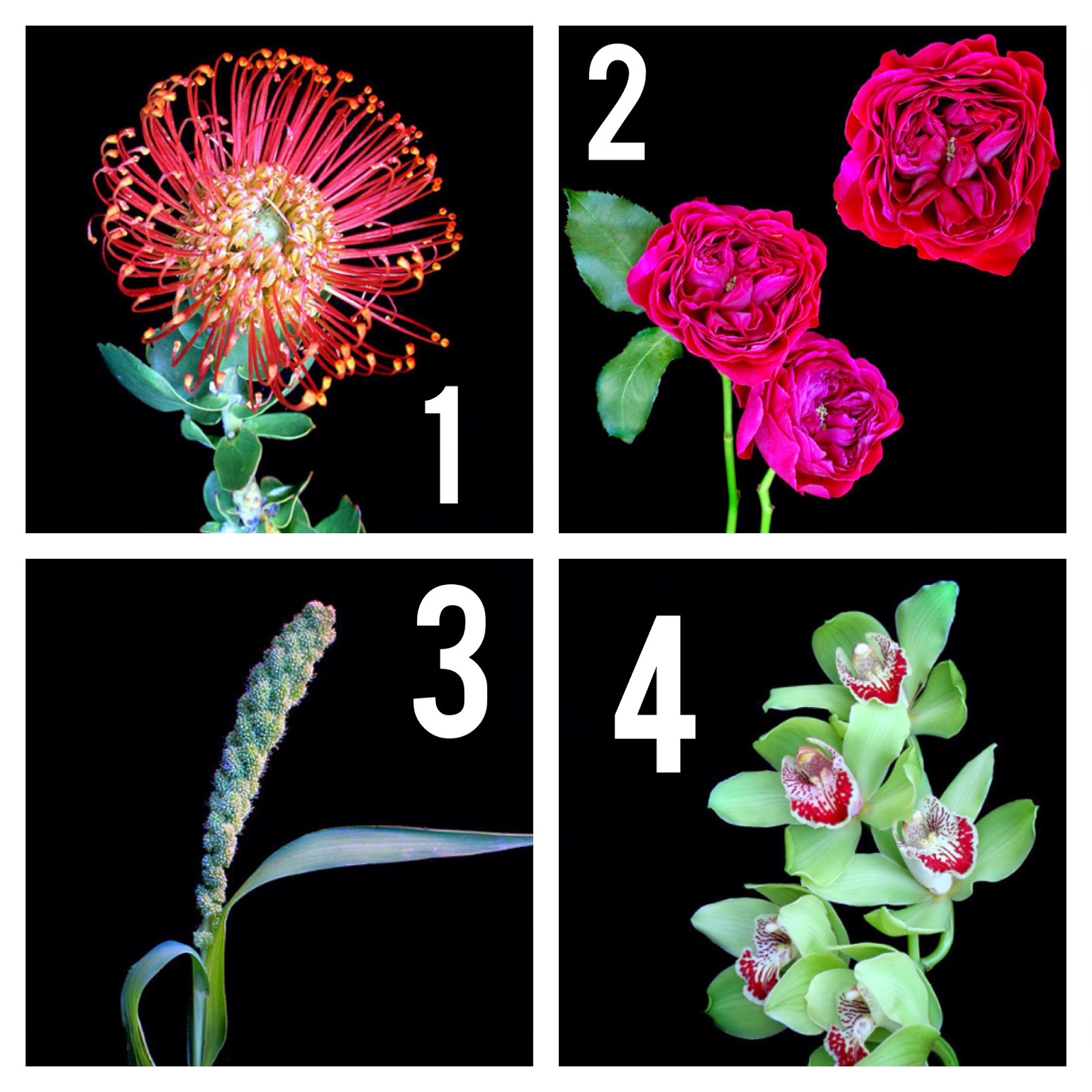 Love Greyson : {Wedding Series 101} :: Heat Proof Florals