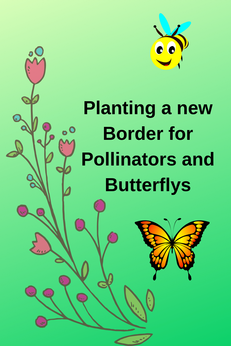 Planting a new border for pollinators and butterflys