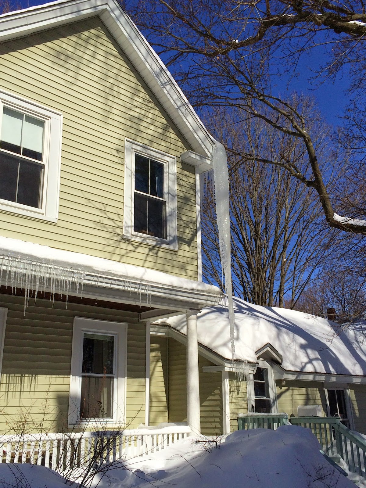 Maynard Life Outdoors and Hidden History of Maynard: February 2015